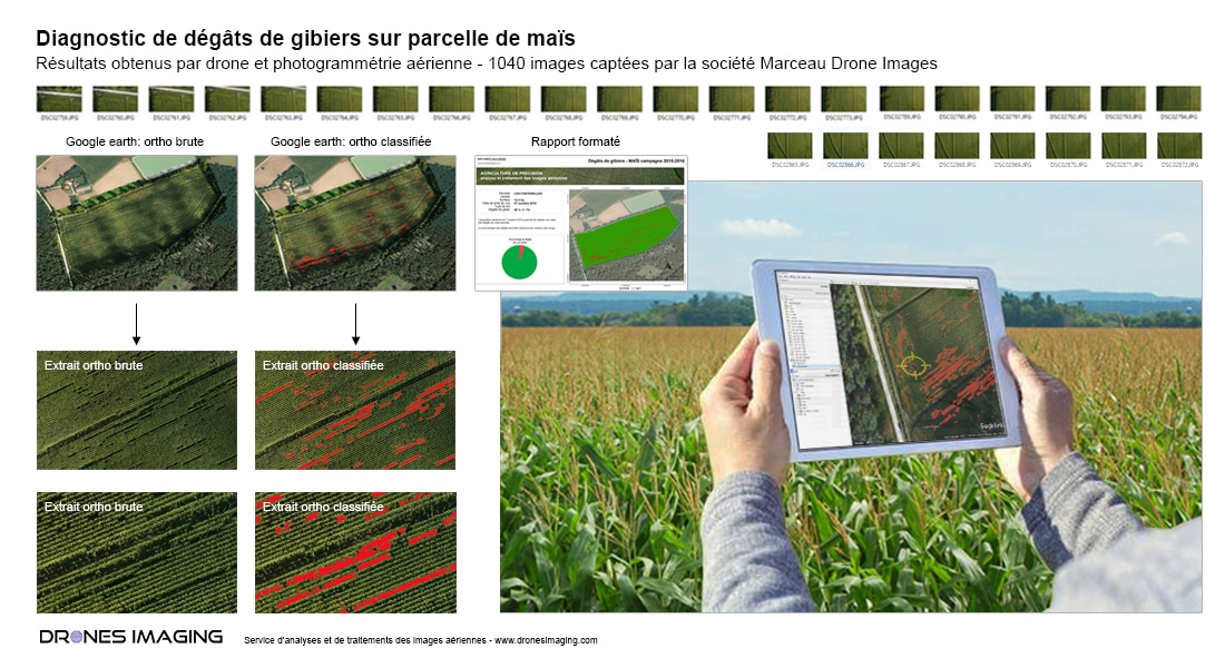 Game damage mapping - DRONES IMAGING