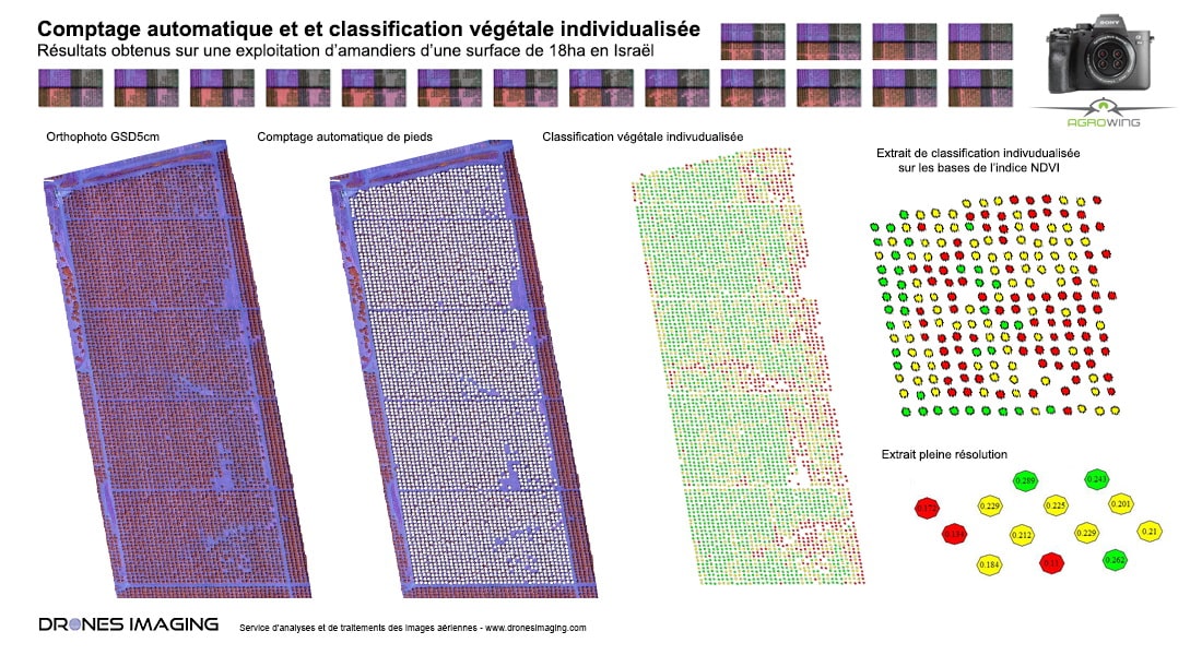 Counting by deep learning - DRONES IMAGING