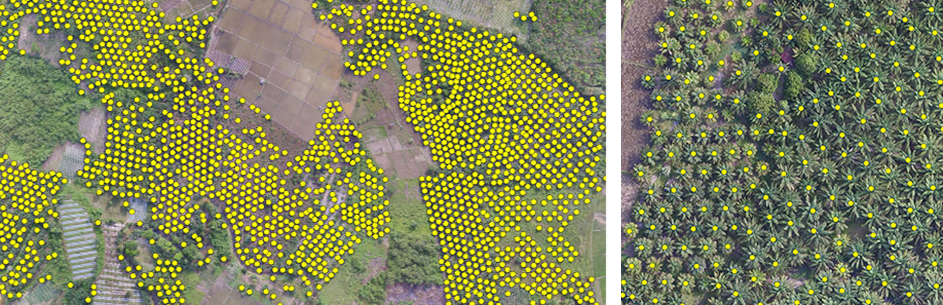Automatic counting service - DRONES IMAGING